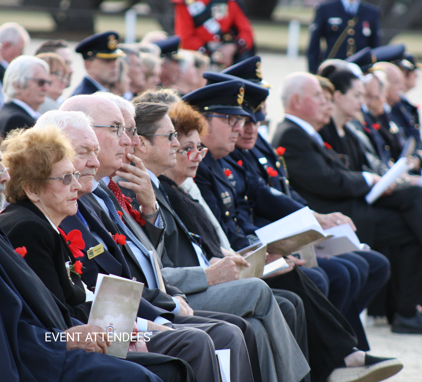 Case Study: AIR FORCE ASSOCIATION VICTORIA | Alicia Whetton