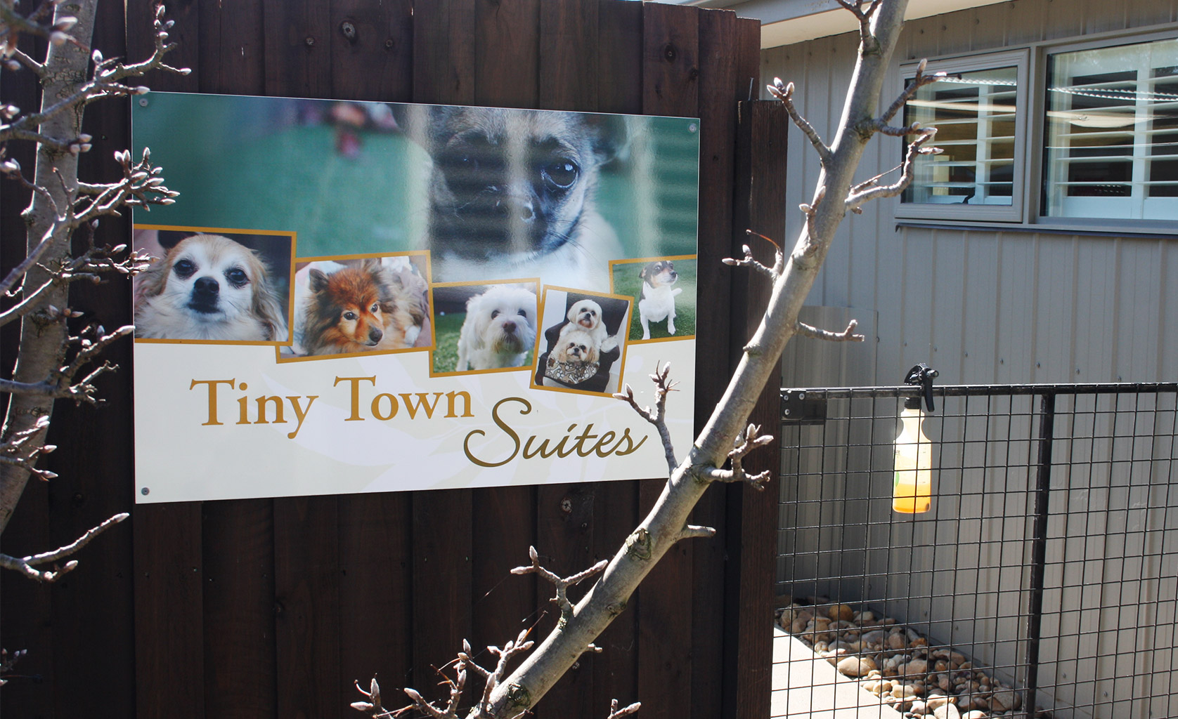Dogs Country Club Signage | Alicia Whetton