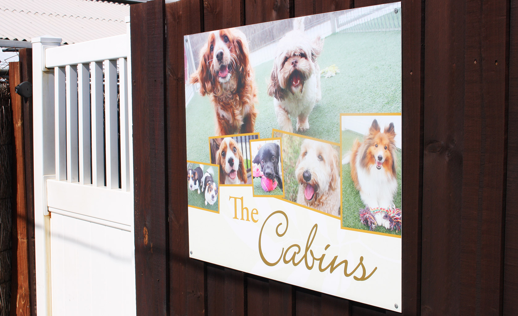 Dogs Country Club Signage | Alicia Whetton