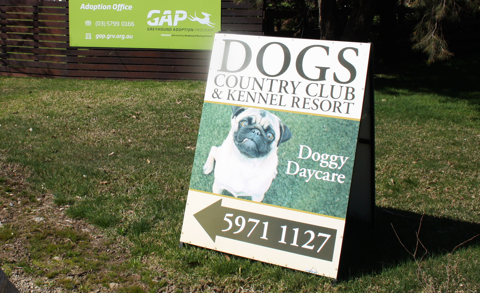 Dogs Country Club Signage | Alicia Whetton