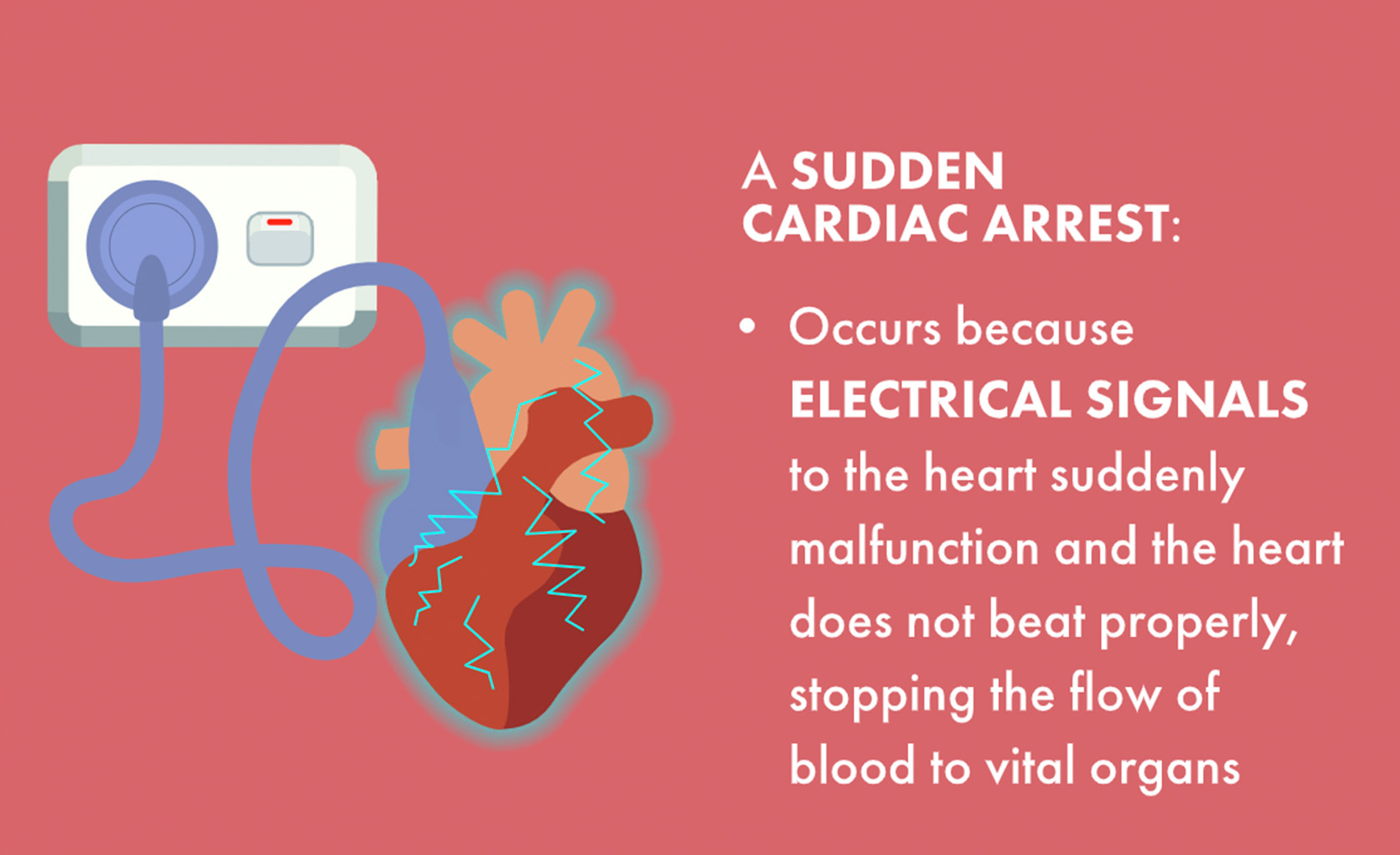 Battersea Training Animation: Defibrillator | Alicia Whetton